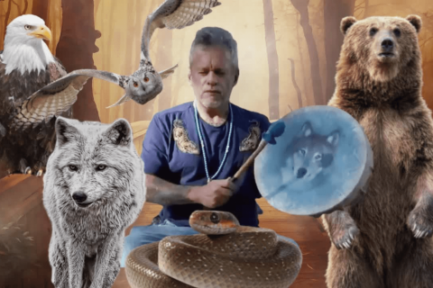 O que são Animais de Poder e quais seus Significados?